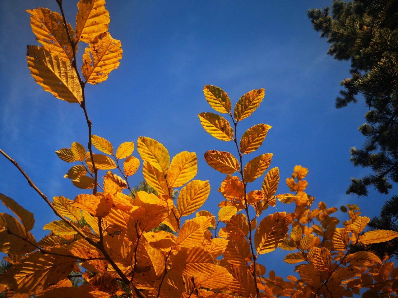 Dużo słońca przez niemal cały kolejny tydzień - NowyTarg24.tv